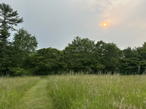 Best Hikes and Trails in Pudding Hill Reservation | AllTrails