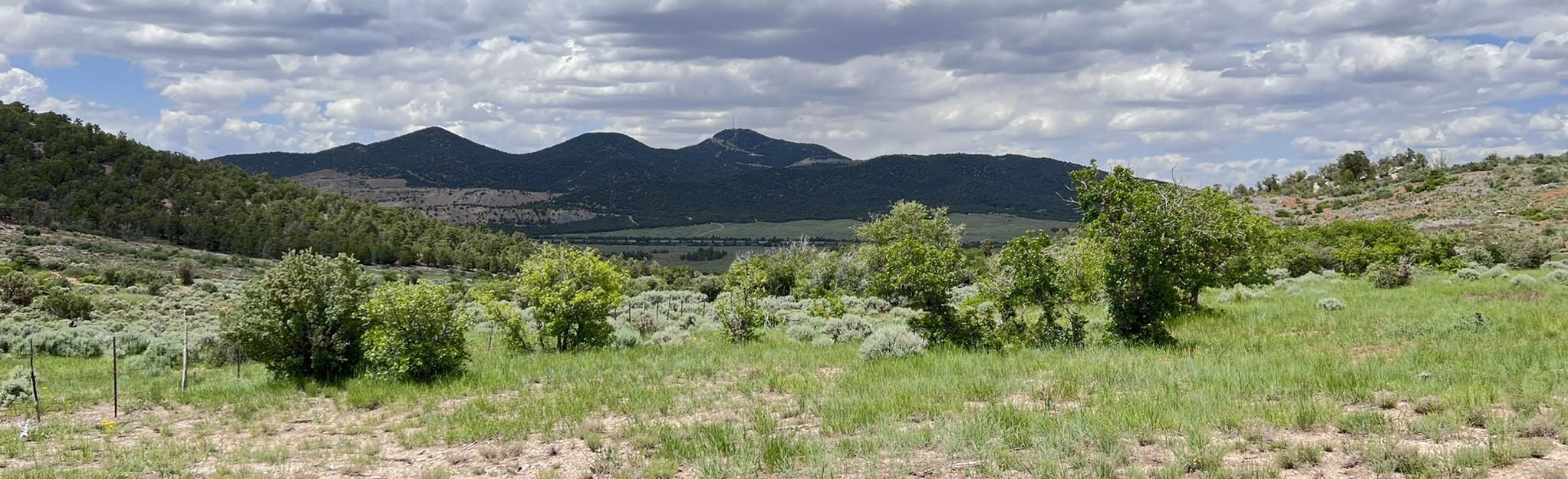 Pinto Canyon, Utah - 11 Reviews, Map | AllTrails