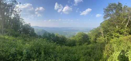 Best Forest Trails in Ceres | AllTrails