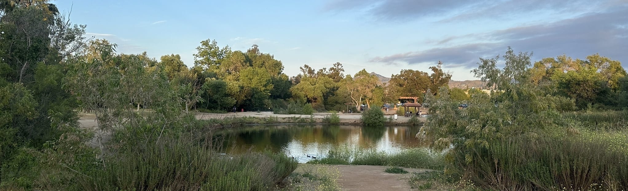 Kit Carson Park: 587 Reviews, Map - California | AllTrails