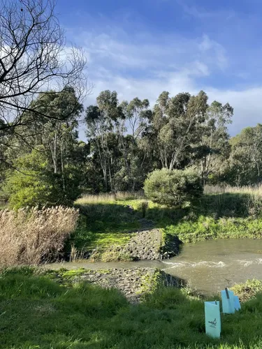Best Hikes and Trails in Bundoora Park | AllTrails
