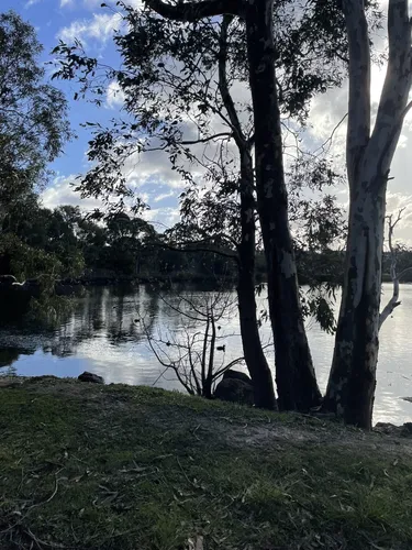 Best Hikes and Trails in Bundoora Park | AllTrails