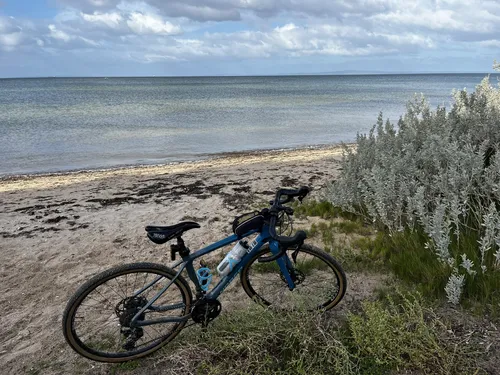 2023 Best Beach Trails in Indented Head | AllTrails