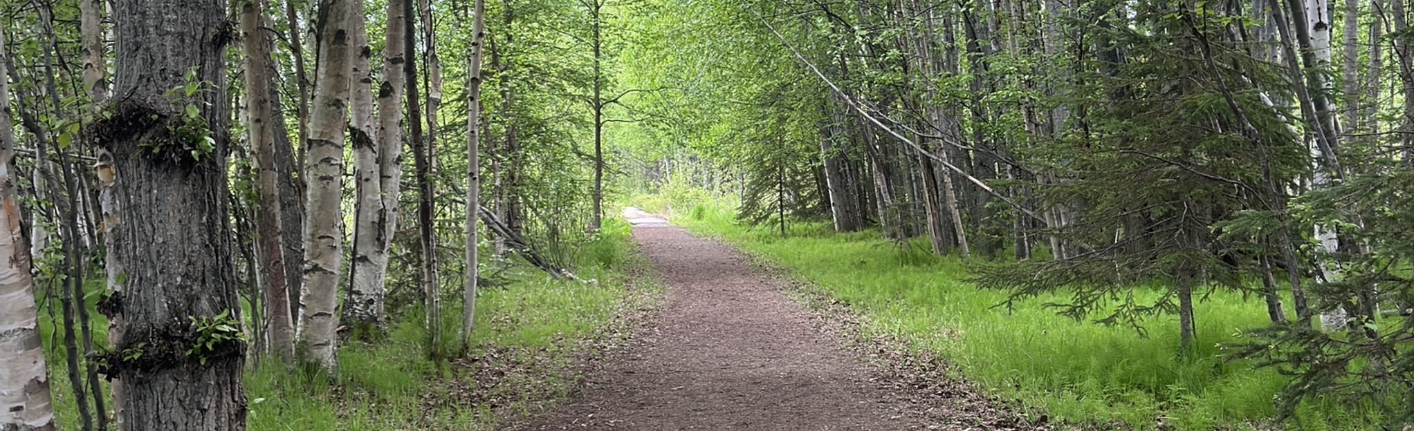 Baxter Loop: 71 foto's - Alaska | AllTrails