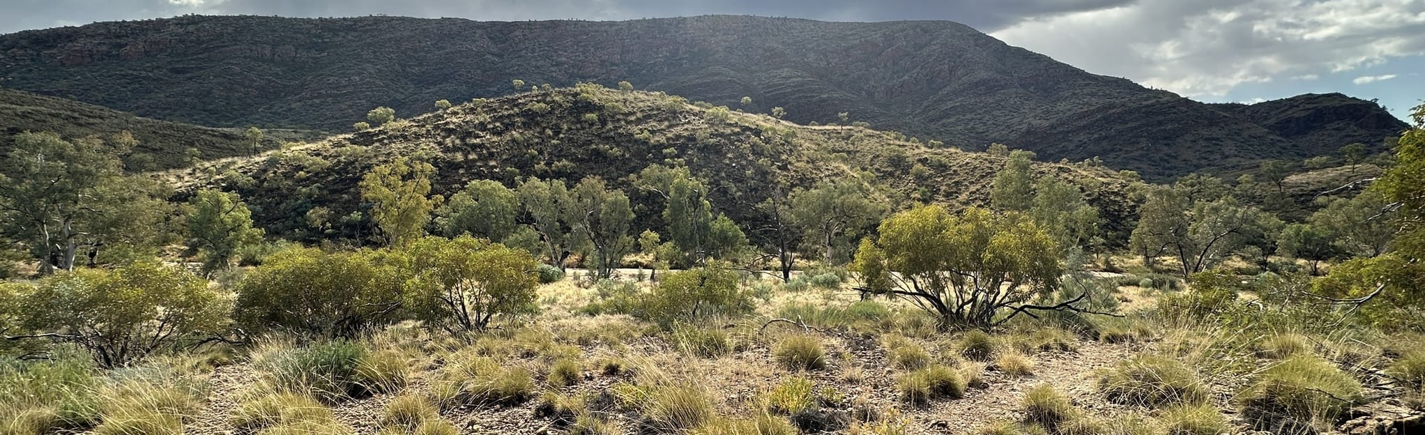 Larapinta Trail: Section 10 Ormiston Gorge to Finke River: 38 Reviews ...