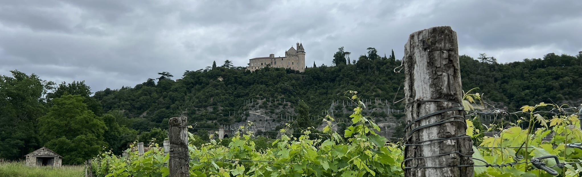 Walk on the banks of the Lot, Lot, France - 7 Reviews, Map | AllTrails