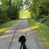 Riney B Trail, Kentucky - 31 Reviews, Map | AllTrails