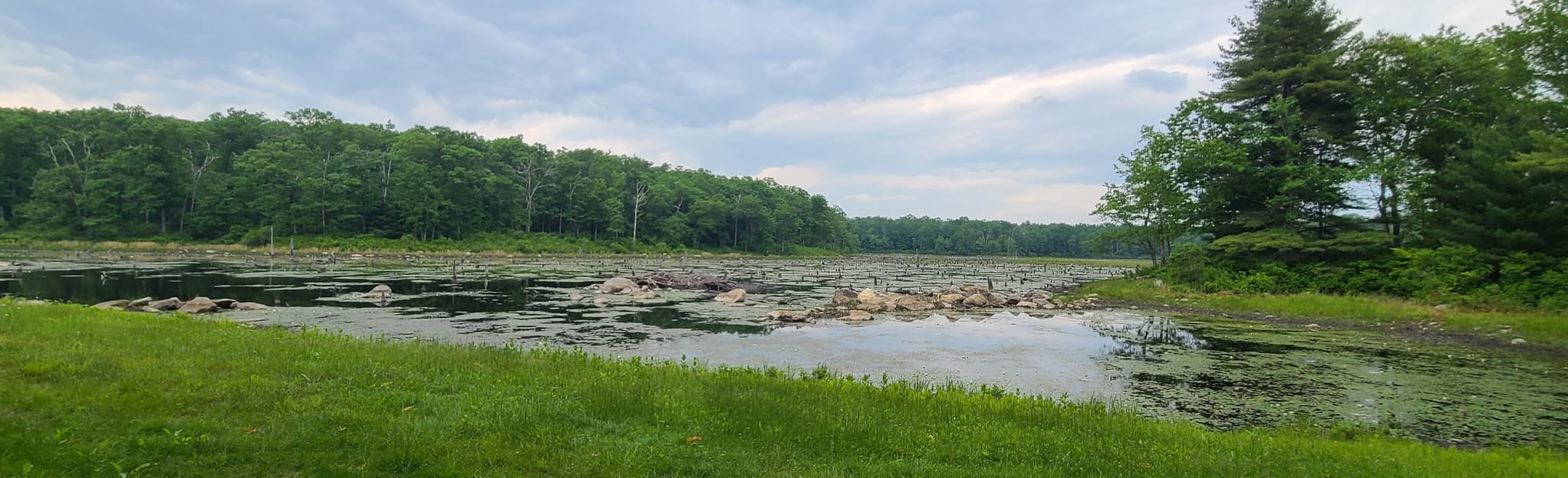 AllTrails | Goodwin Forest Blue-White and Blue Trail Loop: 66 Reviews ...