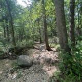 Cave Spring Loop Trail, Missouri - 362 Reviews, Map | AllTrails