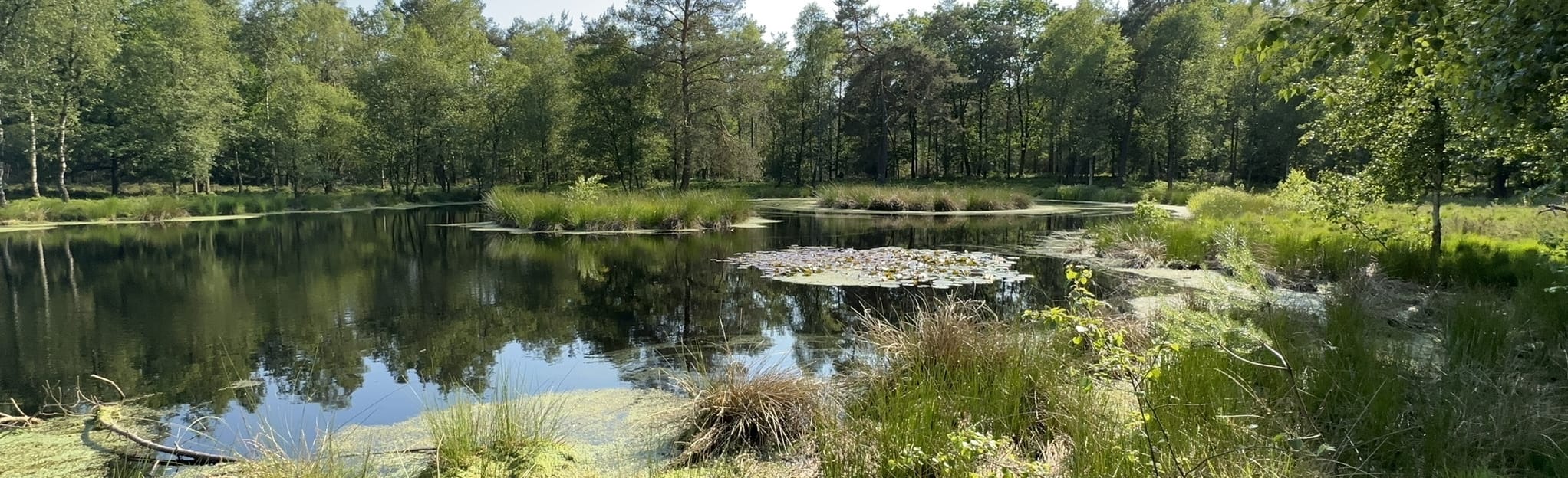 Heerderstrand - De Dellen - Renderklippen: 173 foto's - Gelderland ...