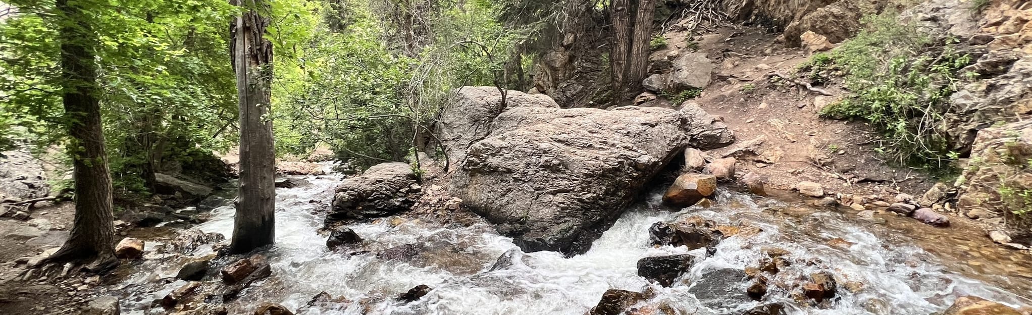 Hidden Falls: 701 Reviews, Map - Utah | AllTrails