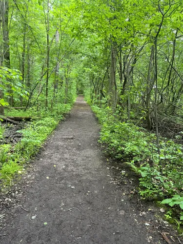 10 Best Trails and Hikes in Burlington | AllTrails
