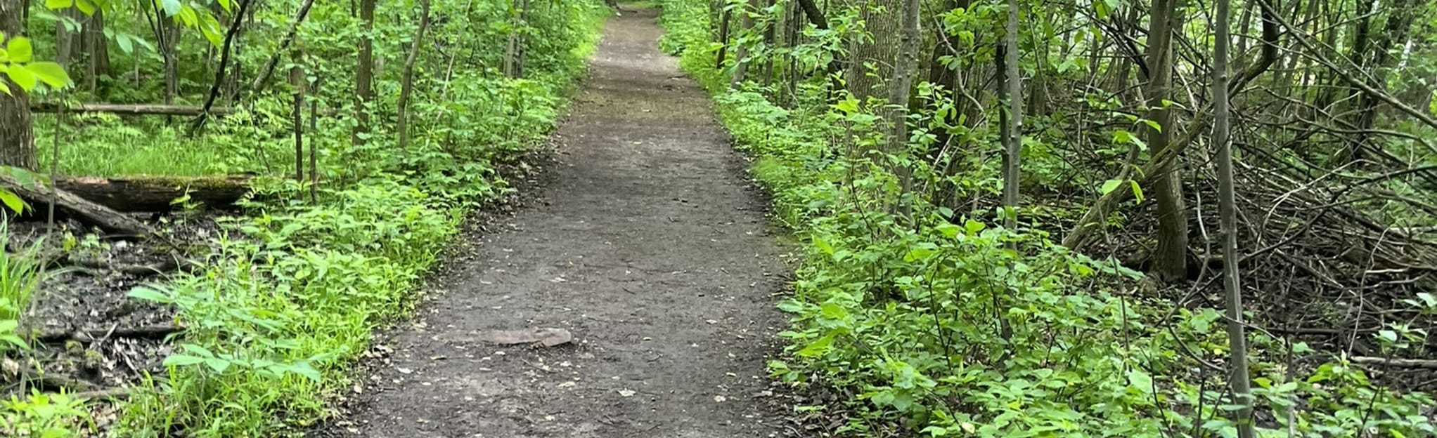 Red Rocks Park Trail, Vermont - 77 Reviews, Map | AllTrails