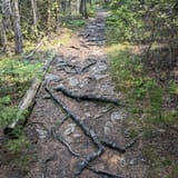 Cyprus Lake Trail, Ontario, Canada - 314 Reviews, Map | AllTrails
