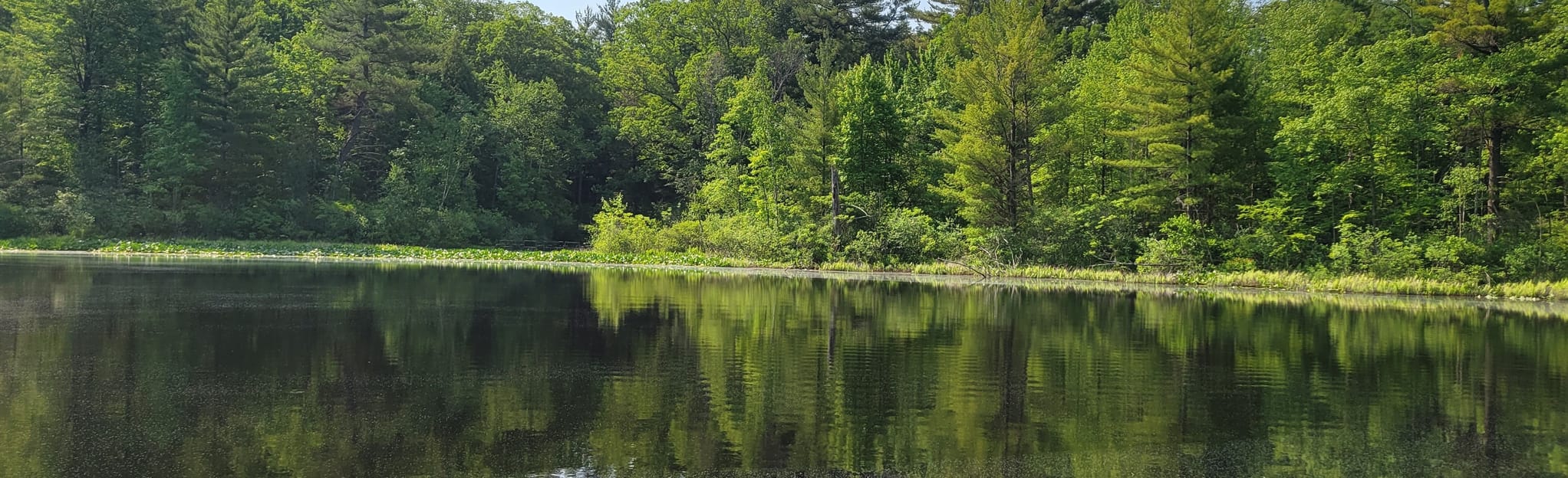 Howard Christensen Nature Center Loop, Michigan - 64 Reviews, Map ...
