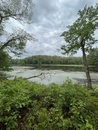 Best Hikes and Trails in Chenango Valley State Park | AllTrails