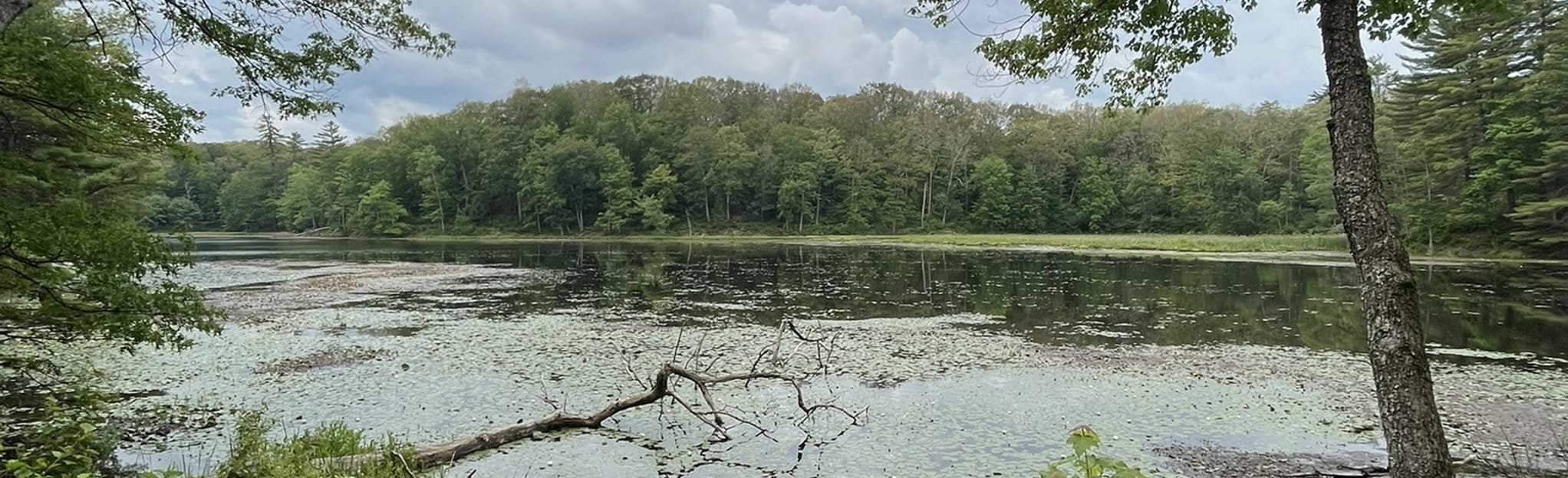 Sylvan and Lily Lake Trail Loop, New York - 52 Reviews, Map | AllTrails