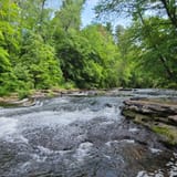 Scantic River Trail, Connecticut - 382 Reviews, Map | AllTrails
