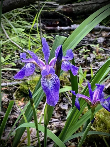 2023 Best Partially Paved Trails in North Rose | AllTrails