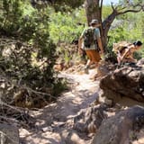 Checkerboard Mesa Canyon Trail, Utah - 196 Reviews, Map | AllTrails