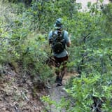 Checkerboard Mesa Canyon Trail, Utah - 196 Reviews, Map | AllTrails