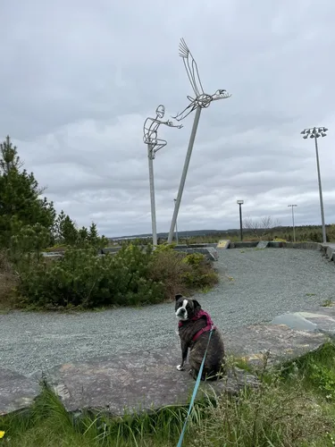 Best Hikes and Trails in Peter Barry Duff Memorial Park | AllTrails