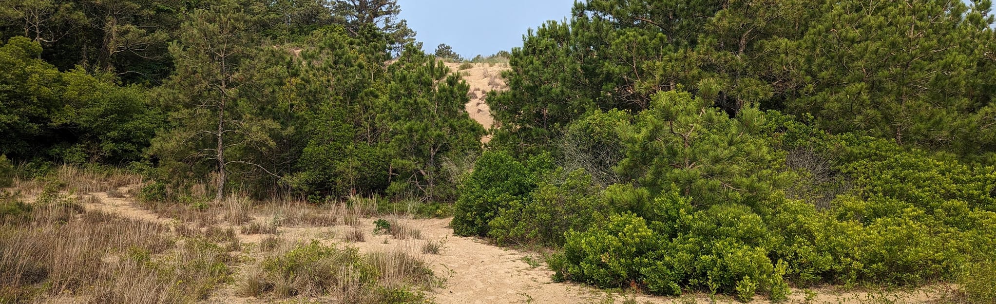 Run Hill State Area Trail, North Carolina - 14 Reviews, Map | AllTrails