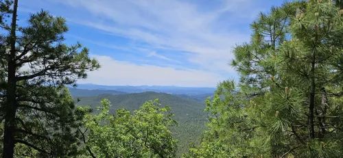 10 Best Trails and Hikes in Forest Lakes | AllTrails