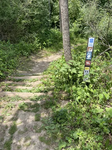 Best Hikes and Trails in Wanatee Park | AllTrails
