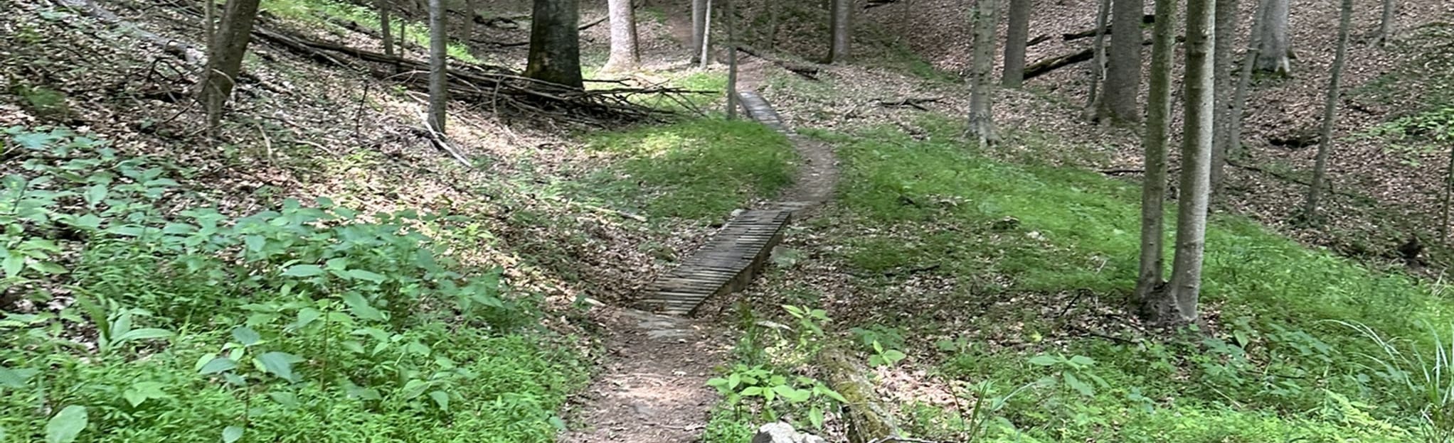 Trip to the Moon and Savannah Loop Trail: 81 Reviews, Map - West ...