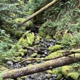 Maple Valley Loop, Washington - 230 Reviews, Map | AllTrails