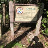 Apoxee and Owahee Trail Loop, Florida - 321 Reviews, Map | AllTrails