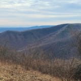 Black Ridge Trail, Virginia - 538 Reviews, Map | AllTrails