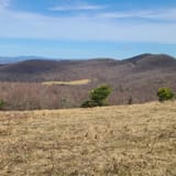 Black Ridge Trail, Virginia - 538 Reviews, Map | AllTrails