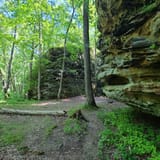 Panther Den Loop, Illinois - 844 Reviews, Map | AllTrails