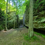 Panther Den Loop, Illinois - 844 Reviews, Map | AllTrails