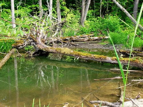 Best Hikes and Trails in Vergennes Watershed | AllTrails Best Hikes and Trails in Vergennes Watershed | AllTrails