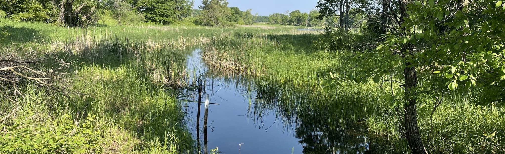 Eagle Point Lake Trail, Minnesota - 192 Reviews, Map | AllTrails