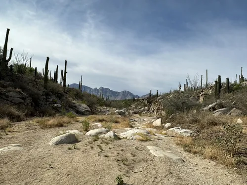 Best Hikes and Trails in Honey Bee Canyon Park | AllTrails