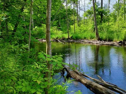 Best Hikes and Trails in Fawn River Nature Preserve | AllTrails