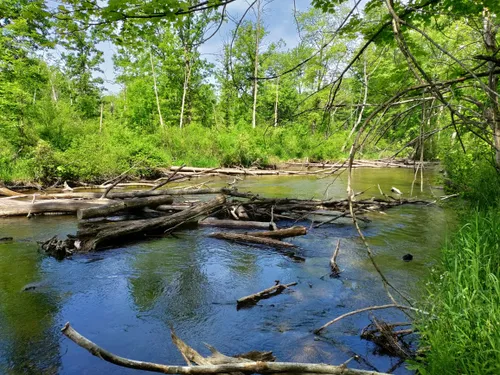 Best Hikes and Trails in Fawn River Nature Preserve | AllTrails