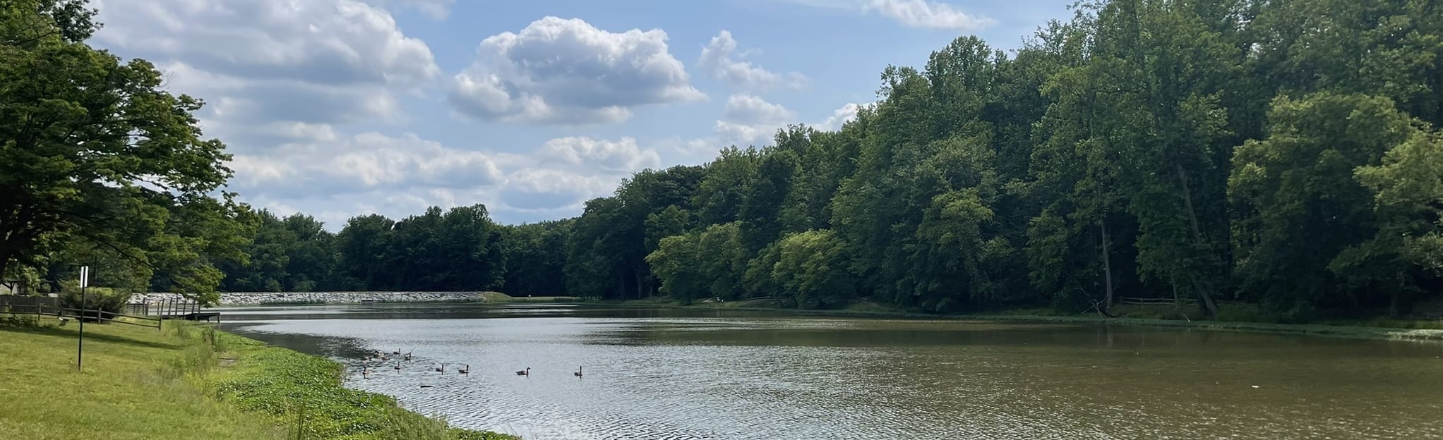 L.F. Cosca Regional Park Loop: 80 Reviews, Map - Maryland | AllTrails