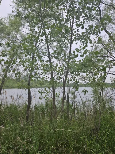 Best Hikes and Trails in Grunwald Farms Forest Preserve | AllTrails