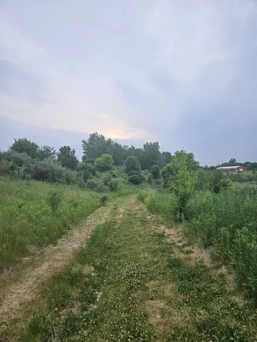 Best Hikes and Trails in Grunwald Farms Forest Preserve | AllTrails