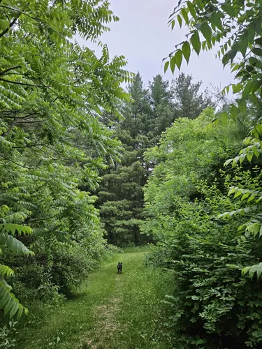 Best Hikes and Trails in Grunwald Farms Forest Preserve | AllTrails