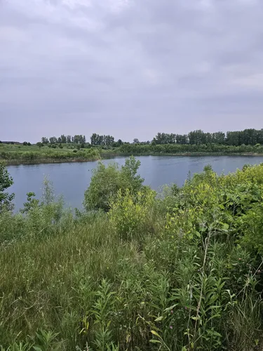 Best Hikes and Trails in Grunwald Farms Forest Preserve | AllTrails