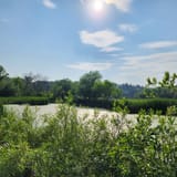 Theodore Wirth Wildflower Trail, Minnesota - 517 Reviews, Map | AllTrails