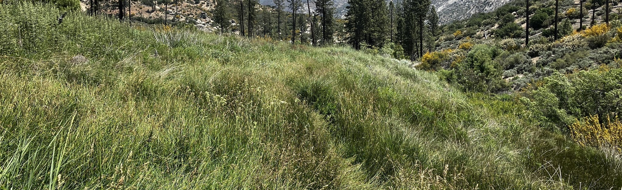 AllTrails | Seven Tea Cups (7TC) via Dry Creek Meadow: 180 Reviews, Map ...