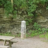 Panhandle Trail, West Virginia - 470 Reviews, Map | AllTrails