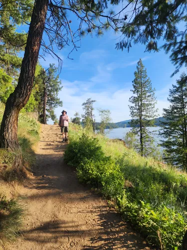 Best Hikes and Trails in Tubbs Hill Park | AllTrails